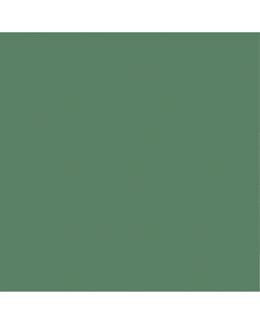 Peinture vert Forêt | Peinture intérieure veloutée | Pure & Paint